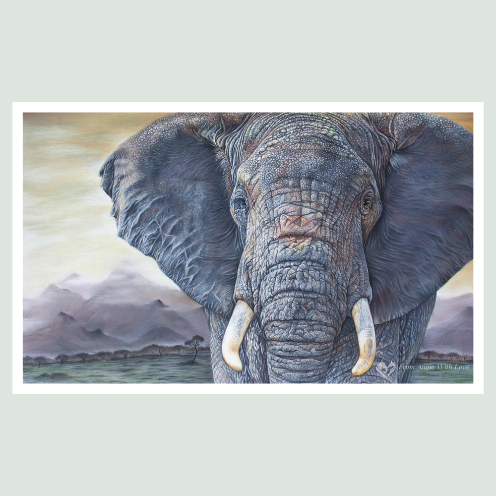 Tembo - African Elephant wildlife art print by pencil artist Angie