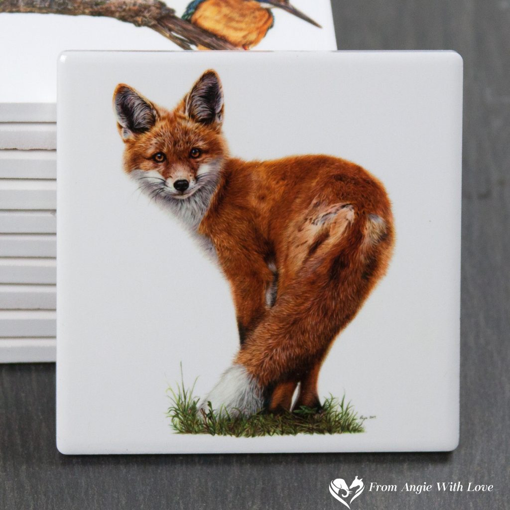 Wildlife Art Gallery - Beautiful Birds and Animals in Coloured Pencil